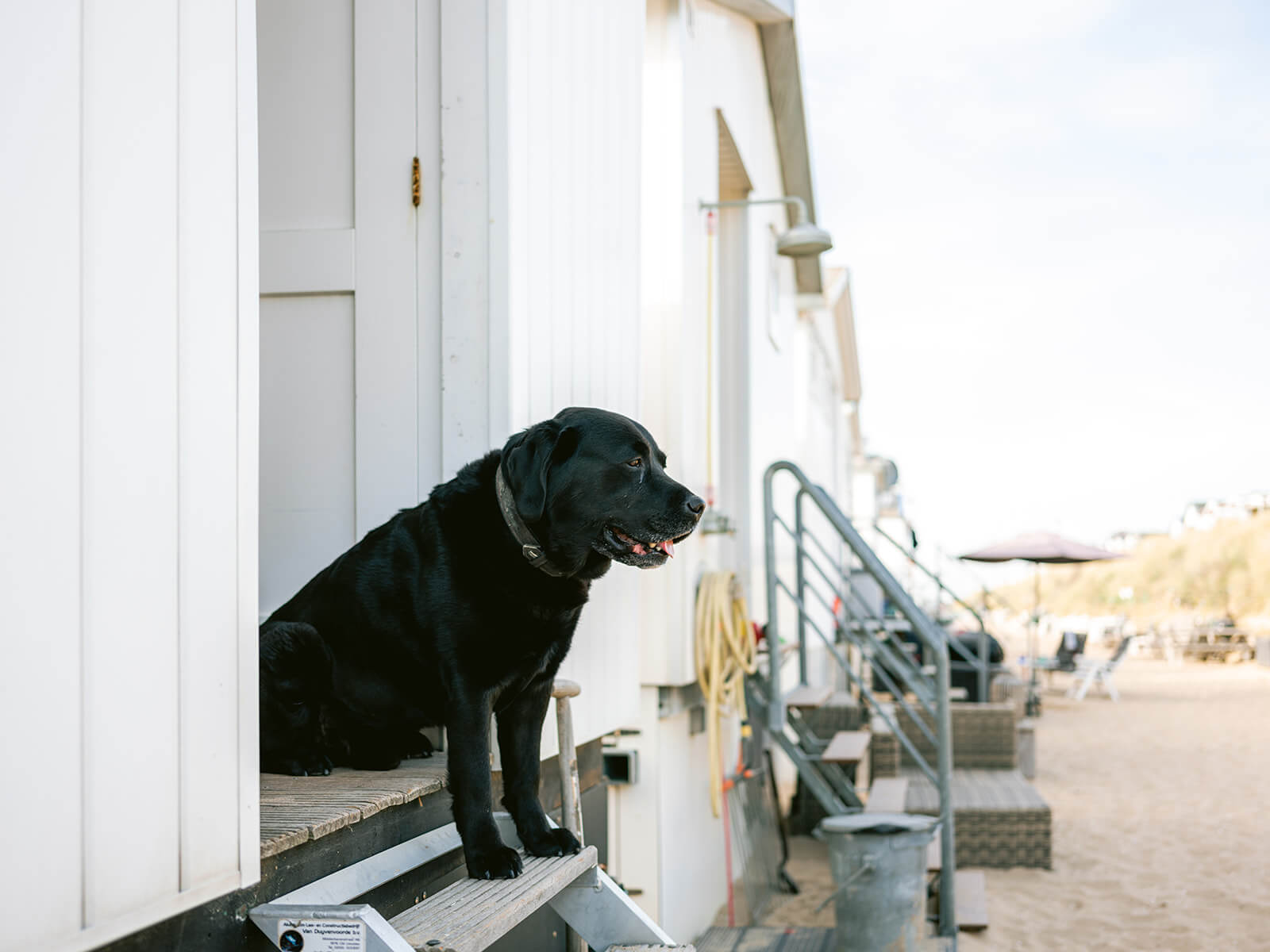 Diana & Edwin | Zwart Fotografie